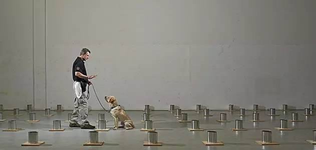 Собака-бомба і дресирувальник