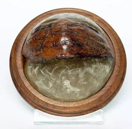 為什麼肯尼迪在橢圓形辦公室保留椰子殼
