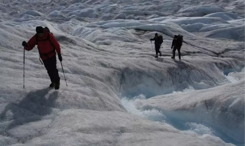 冰川微生物的小世界對全球氣候產生了巨大的影響