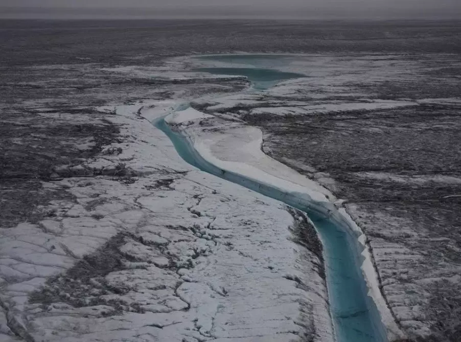 Il minuscolo mondo dei microbi del ghiacciaio ha un impatto smisurato sul clima globale