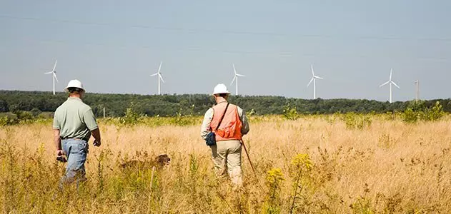 Može li energija vjetra biti prihvatljiva za divlje životinje