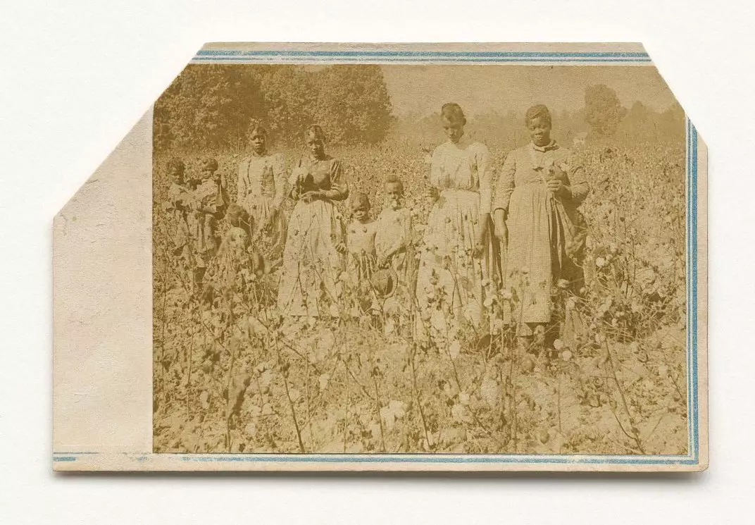Femei și copii într-un câmp de bumbac