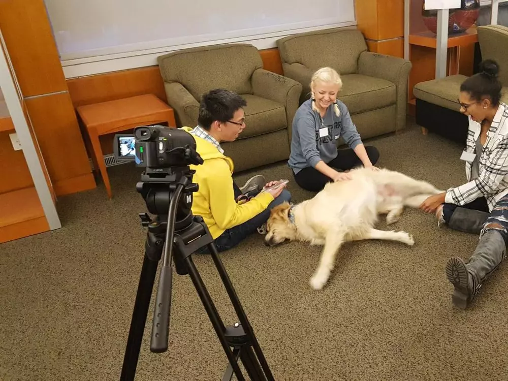 Et bilde av tre voksne som sitter rundt en gul labrador retreiver. De voksne klapper og samhandler med hunden mens den legger seg på siden. Mot venstre på bildet er det et kamera som registrerer interaksjonen.