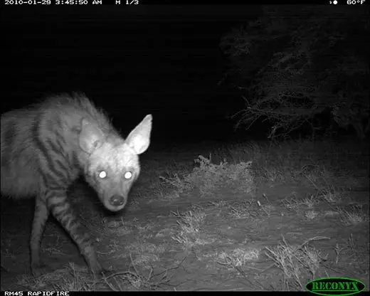 Tajné životy zvířat zachycené na kameru 28707_19