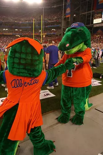 20110520110721Florida-Gators-mascot-dancing.jpg