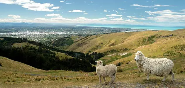 Christchurch New Zealand