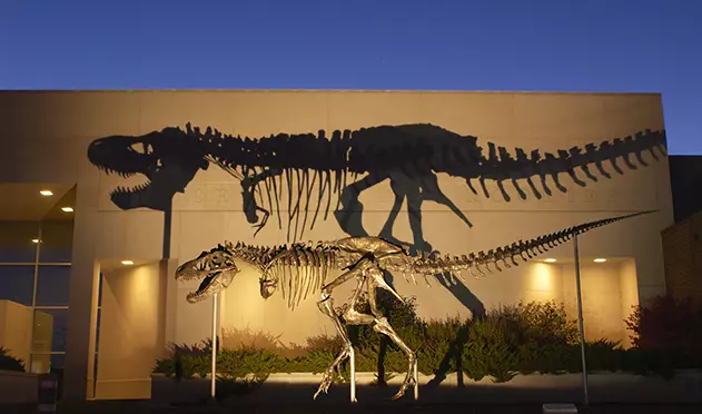 Po 103 metų Gamtos istorijos muziejus pagaliau gauna savo Tyrannosaurus rex 28928_3