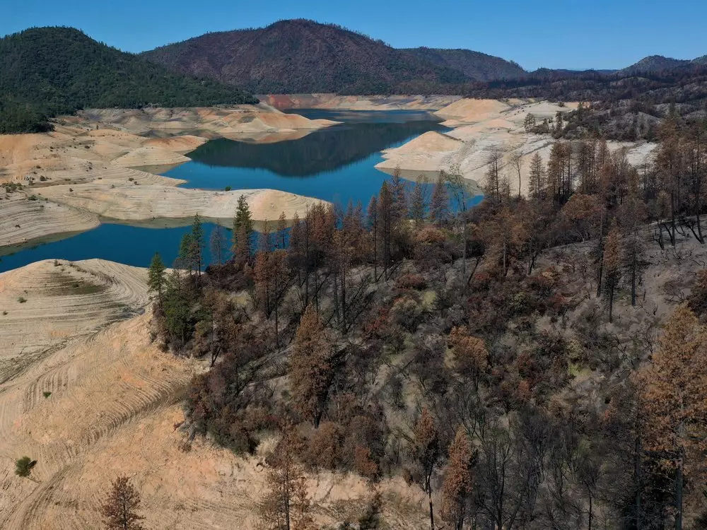 Des arbres brûlés par le récent Bear Fire bordent les rives escarpées du lac Oroville où les niveaux d'eau sont bas le 27 avril 2021 à Oroville, en Californie.