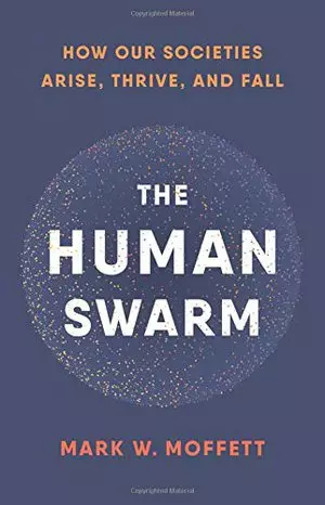 Preview thumbnail għal 'The Human Swarm: How Our Societies Aise, Thrive, and Fall