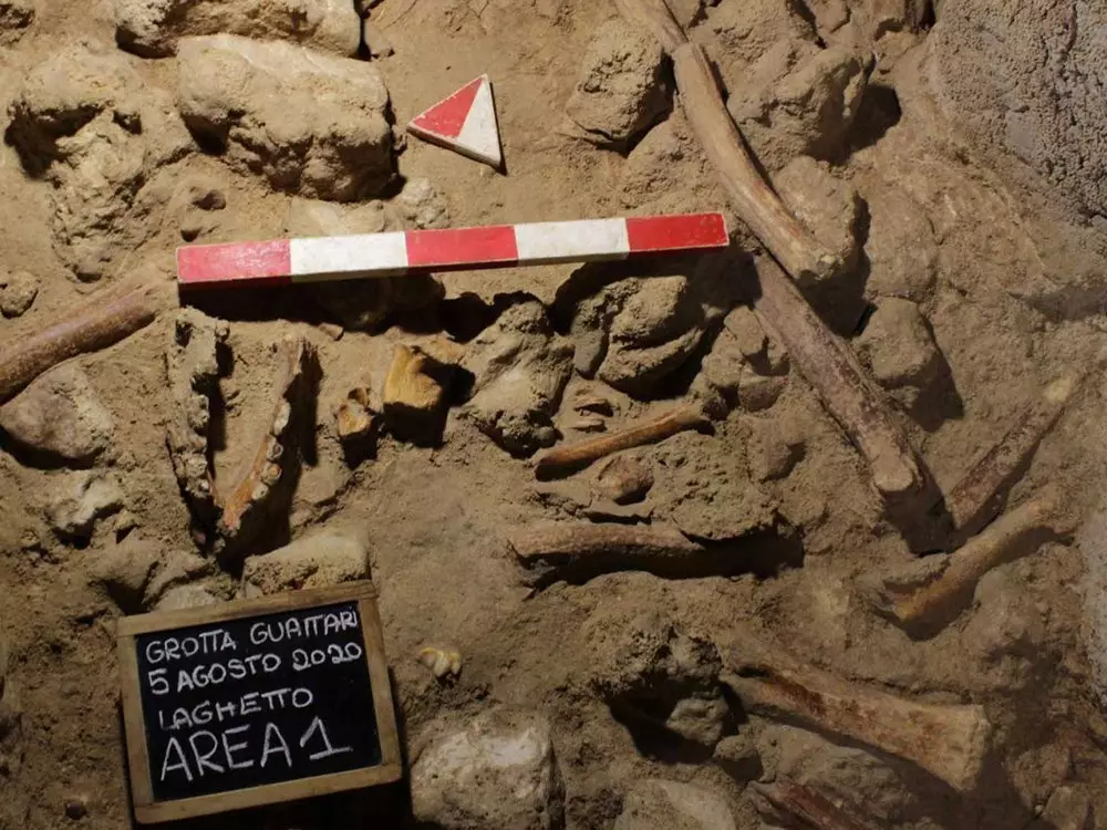 Фосилизацияләнгән Неандертал калдыклары Италия мәгарәсендә табылган
