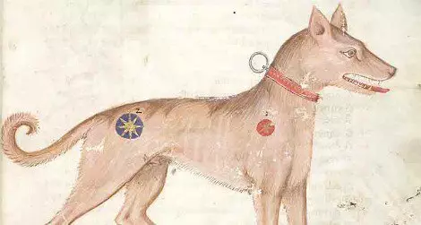 U srednjem vijeku popularna imena pasa uključivala su Little Hammer, Fortuna i Bo