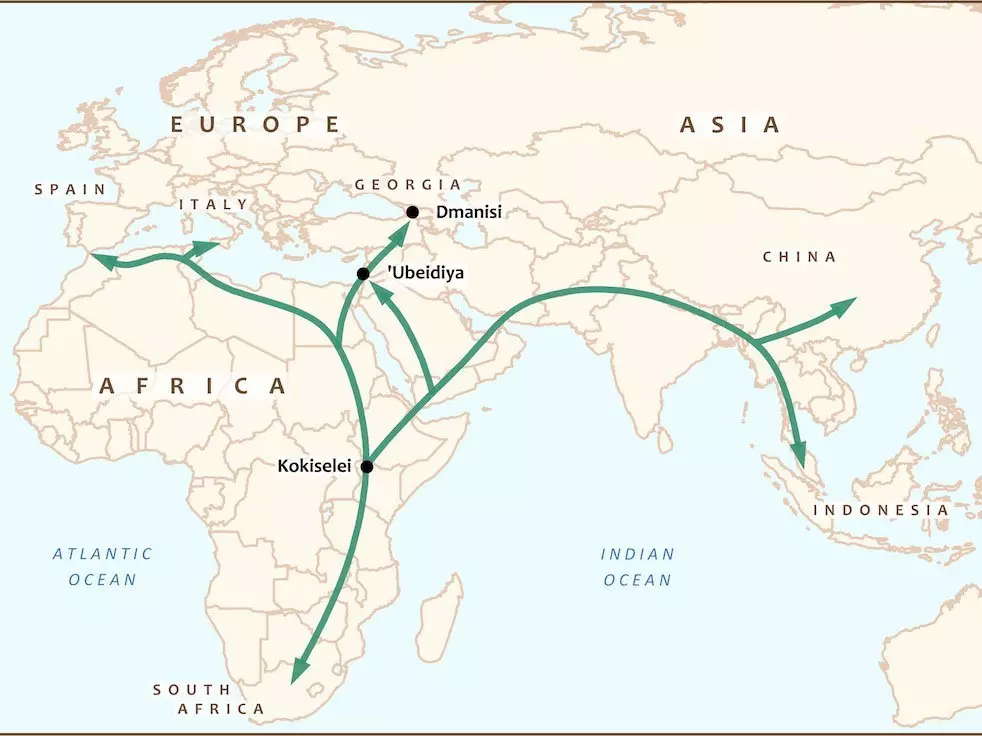 होमो इरेक्टस प्रवासन मानचित्र