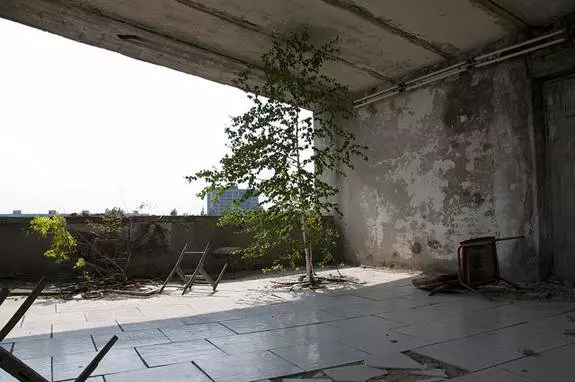 Mti hukua katika Hoteli ya Polissya huko Pripyat.