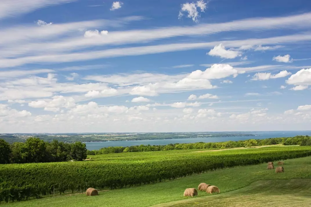 Seneca Lake vingård