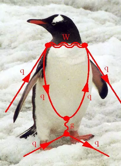 Wéi e Physik Diagramm No engem Pinguin benannt gouf
