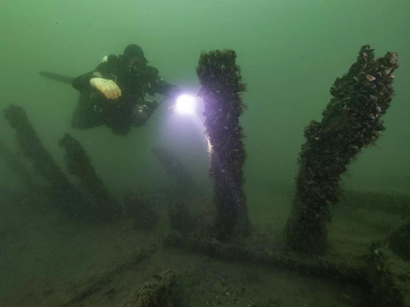 Ett extraordinärt 500 år gammalt skeppsvrak skriver om historien om upptäcktsåldern
