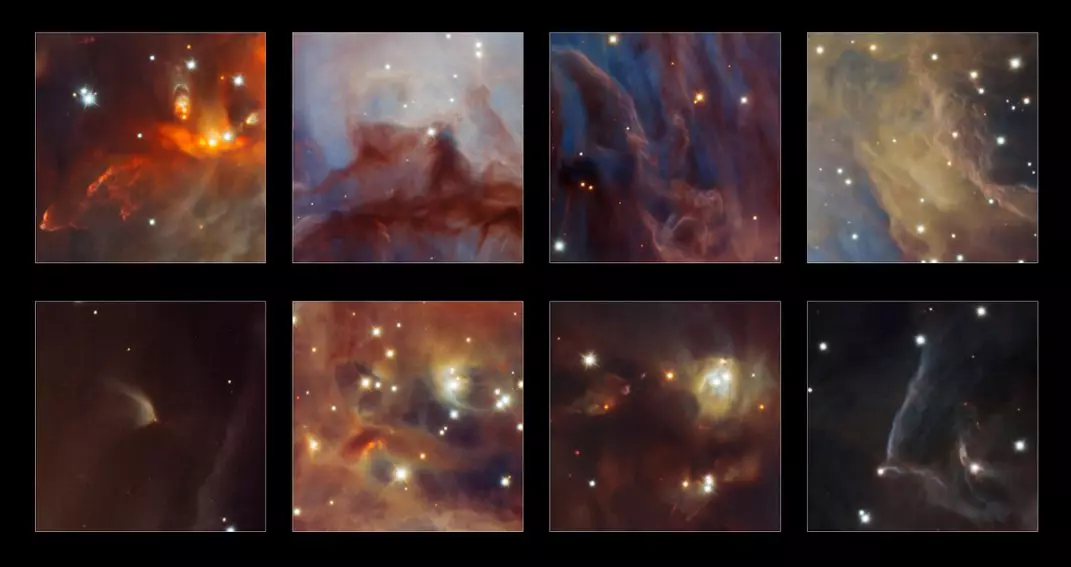 orion collage