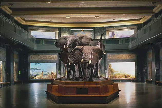 Americké muzeum přírodní historie