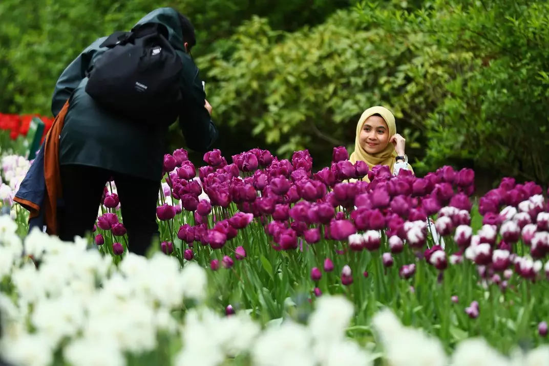 Rivieren fan blommen bloeiden yn Nederlân 29780_2