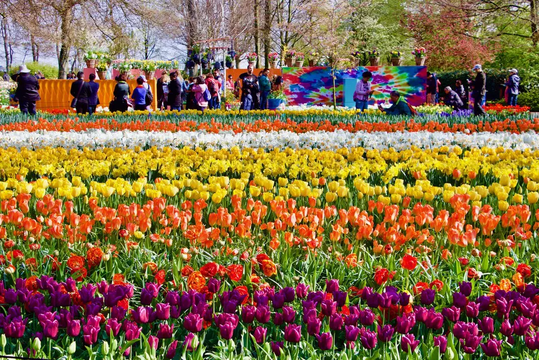 Ang mga Ilog ng Bulaklak ay Bumulaklak sa Holland 29780_3