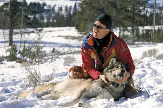Serigala jeung Kasaimbangan Alam di Rockies 29980_2