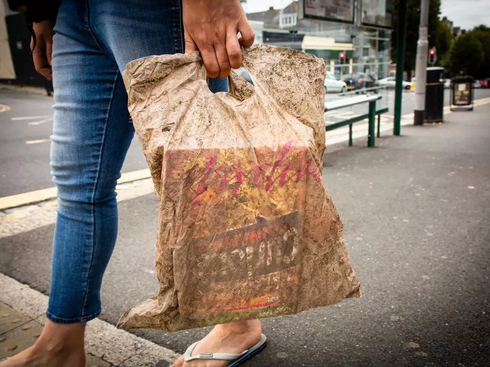 Una bolsa de plástico sumergida en el suelo durante tres años aún podría contener una carga completa de compras (Imagen de Lloyd Russell, Universidad de Plymouth).jpg