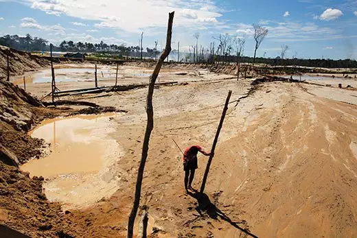 Ett Mega-Dam-dilemma i Amazonas 30068_7