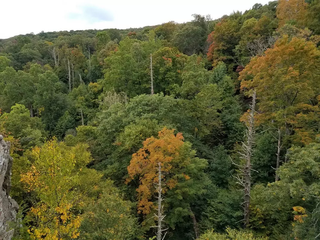 Shenandoah Nemzeti Park