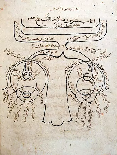 Hjernens skønhed 30162_4