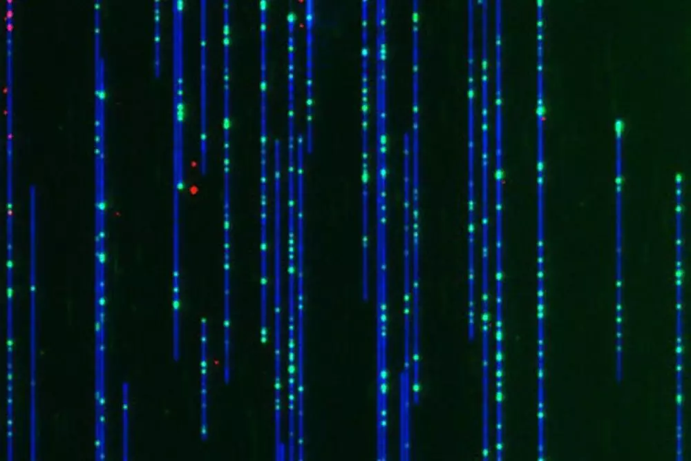 DNA-Bild