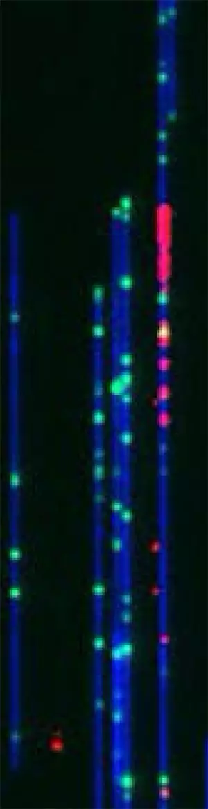 DNA nanoteknik avbildningsmetod