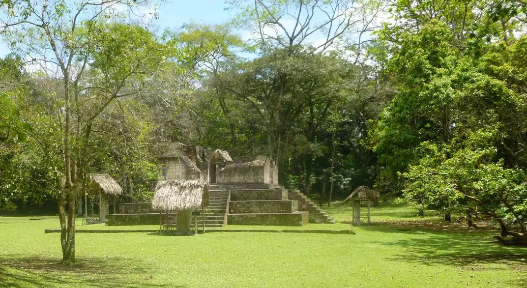 Bones Tell the Tale of a Maya Settlement 30317_2