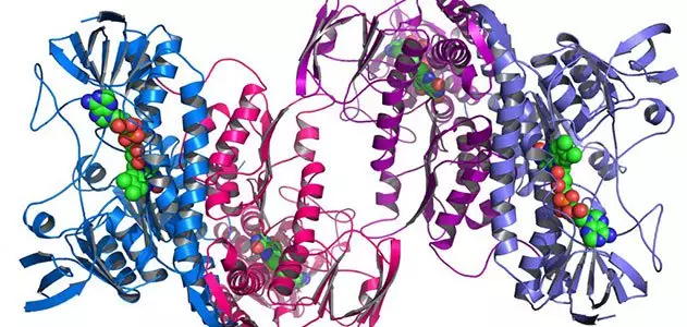 genomics-supreme-court-big.jpg