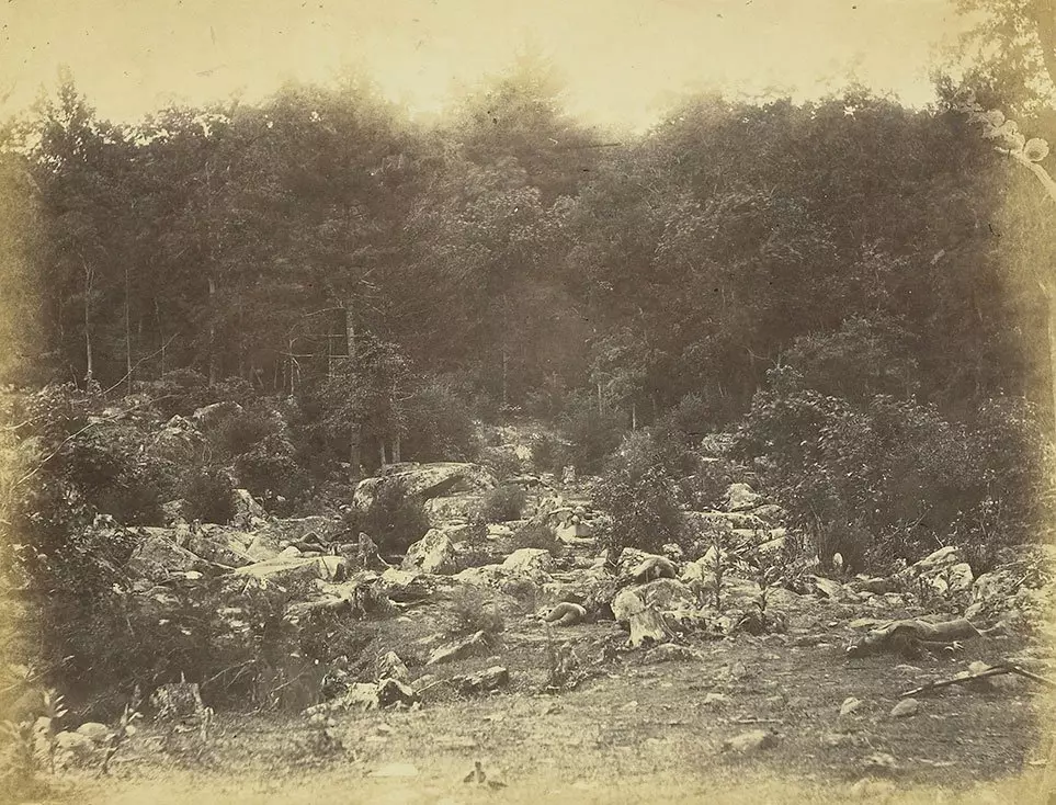 Viunzi vya Gettysburg Kutoka kwa Mikusanyiko ya Smithsonian 30498_12