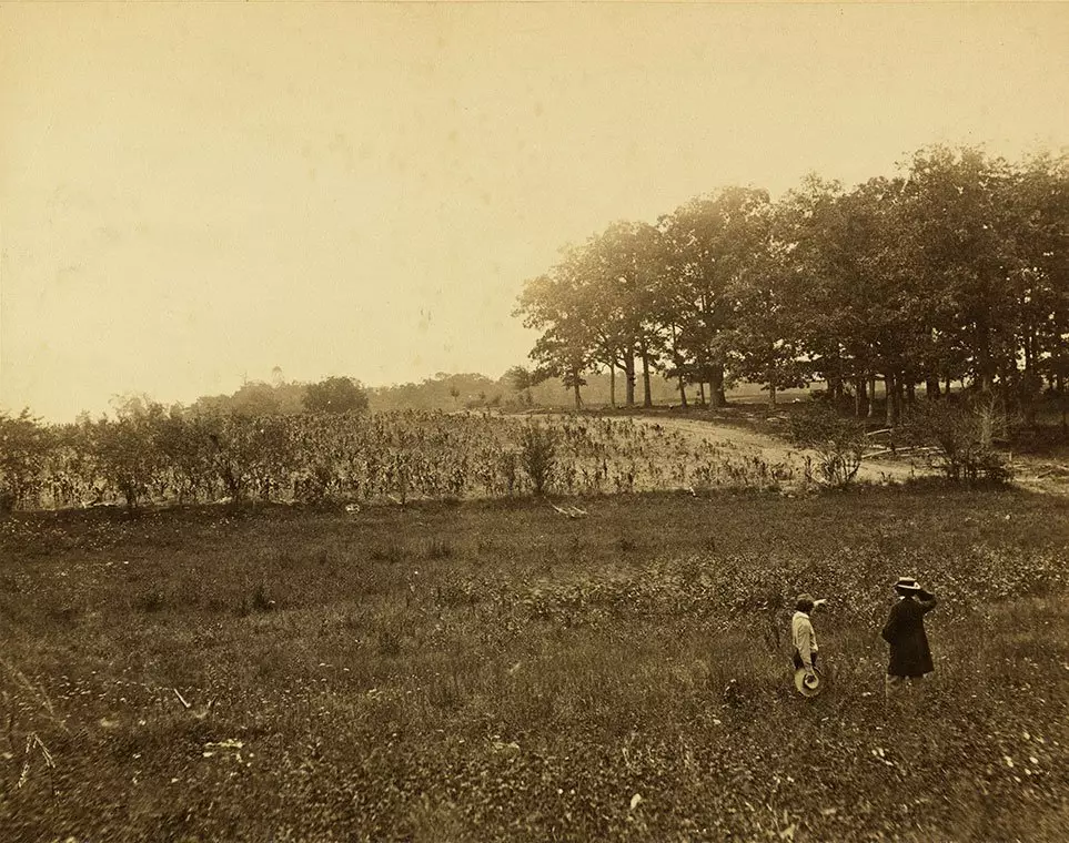 Αντικείμενα του Gettysburg από τις συλλογές Smithsonian 30498_3
