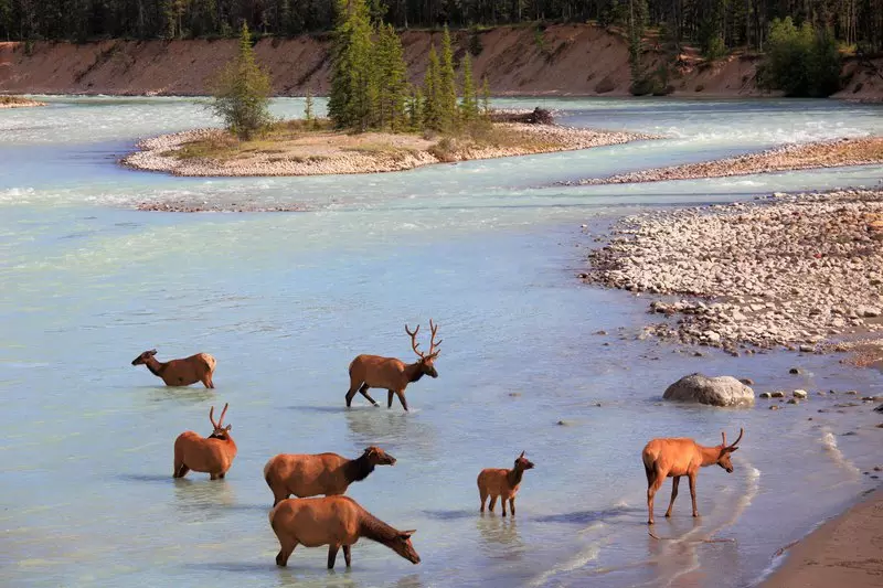 Бесплатно посетите канадске националне паркове који замамљују 30711_8