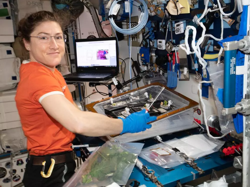 من المقرر أن تقضي كريستينا كوخ 328 يومًا في الفضاء - وهو رقم قياسي لرائدات الفضاء