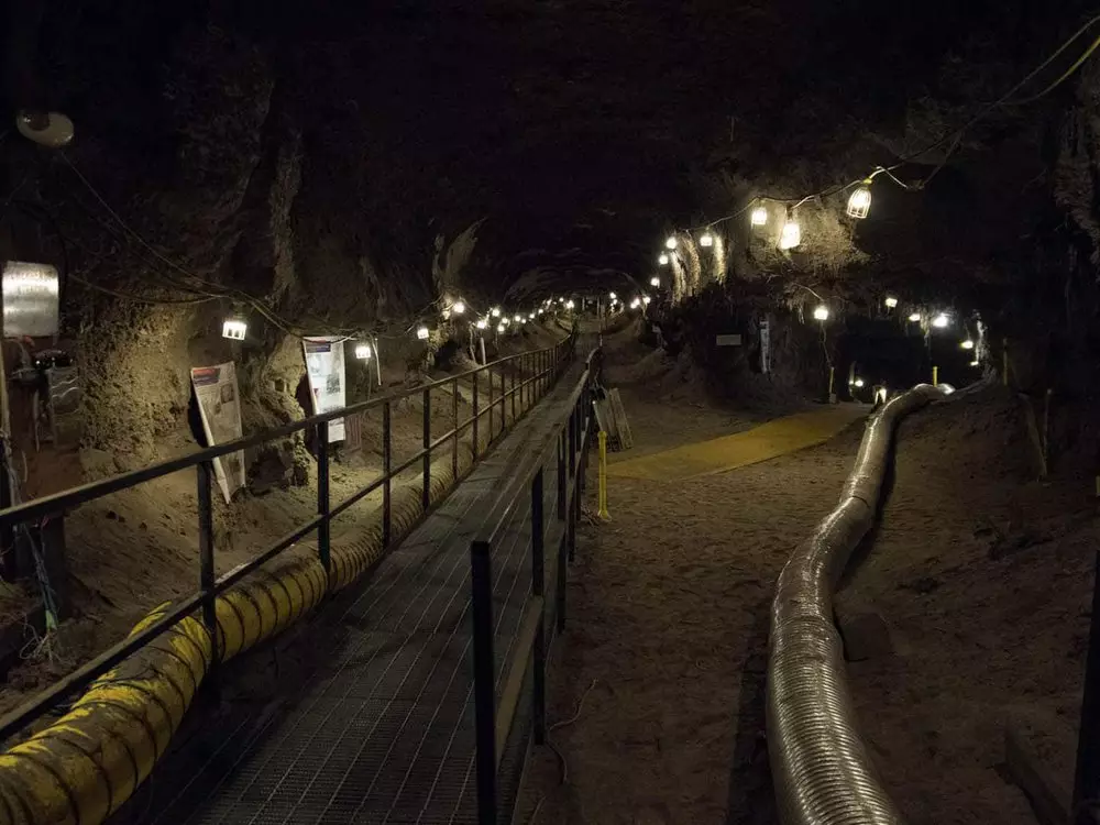Tarisa mukati meFox Tunnel