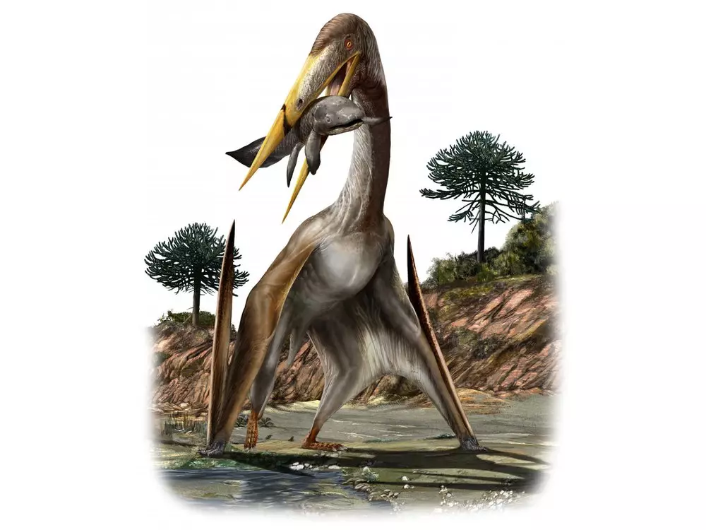 Apejuwe kan fihan pterosaur kan ti o duro ninu omi ti o mu ẹja nla kan ni beak rẹ