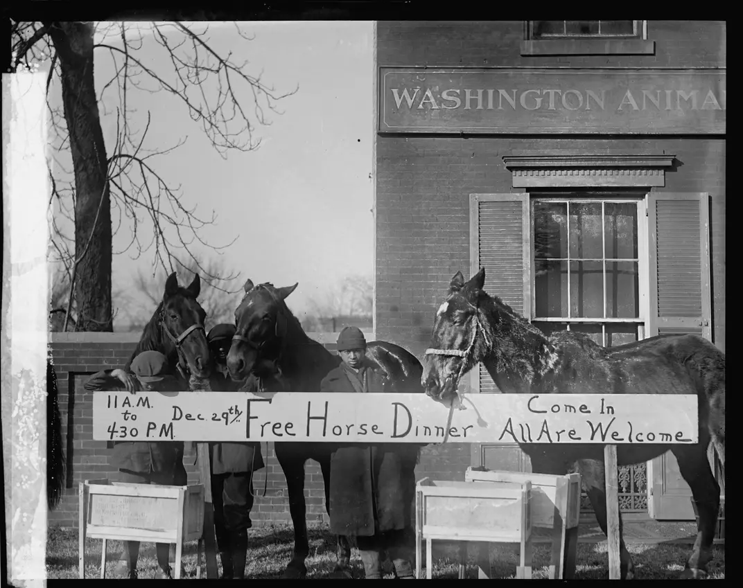 En skylt vid julfesten i Washington Animal Rescue League 1923 annonserade en