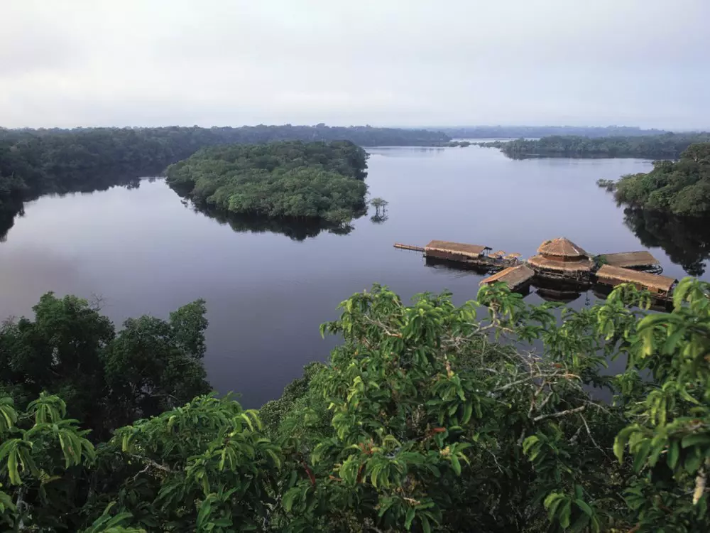 Nasiib darro, Yaraynta xaalufinta dhirta kuma filna in la ilaaliyo kala duwanaanshaha noolaha ee Amazon