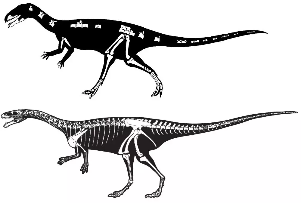 20110520083304masiakasaurus-meji-atunṣe.jpg