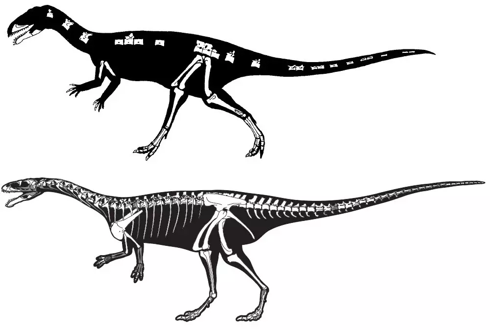 20110520083304masiakasaurus-bi-berreraikuntza.jpg