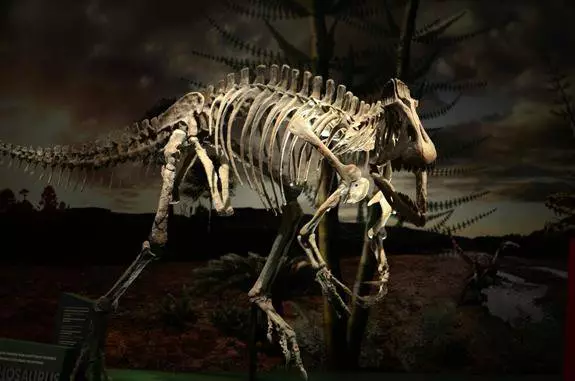 بۇ ئانتاركتىكا دىنوزاۋر ، Cryolophosaurus ئىلگىرى Elvisaurus دەپ ئاتالغان.