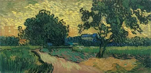 Van Gogho nakties vizijos 31325_15
