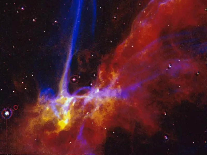 เมษายน-24-2019-cygnus-loop-supernova-remnant.jpg