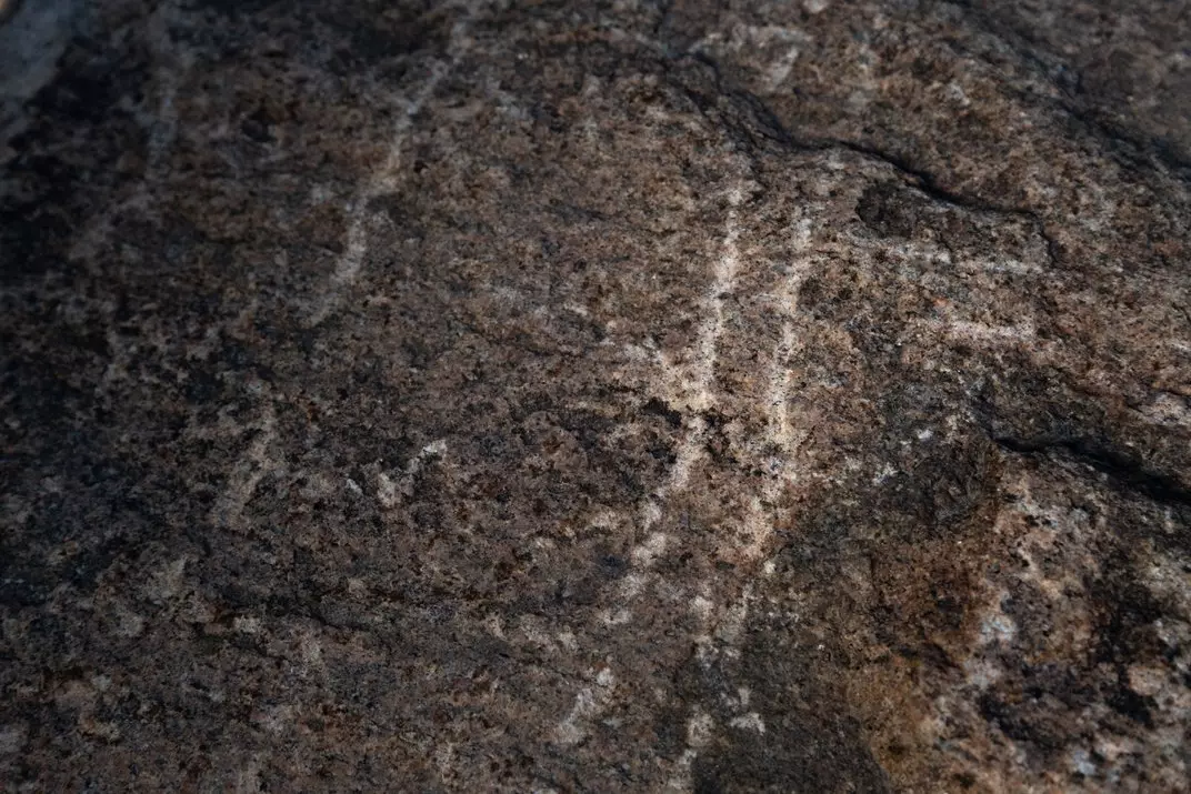 Фото петрогліфа, знайденого у Ванускевіні