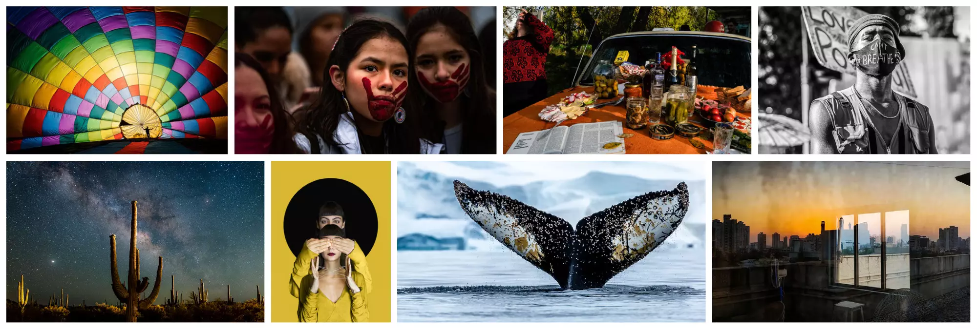 Voici les gagnants du 18e concours photo annuel du Smithsonian Magazine 31760_1