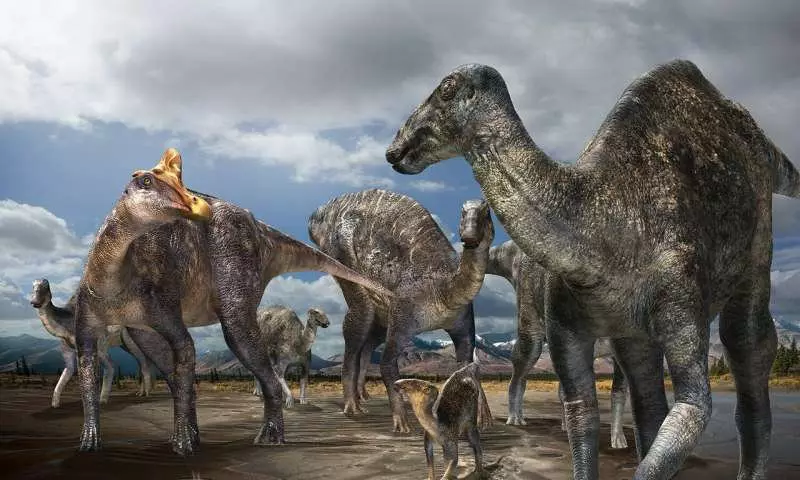 Lambeosauras
