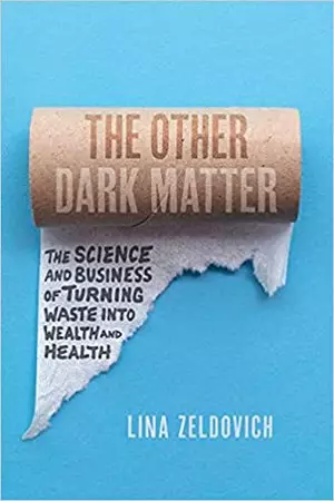 'The Other Dark Matter: The Science and Business of us turning නාස්තිය ධනය සහ සෞඛ්‍යය' සඳහා පෙරදසුන් සිඟිති රුව